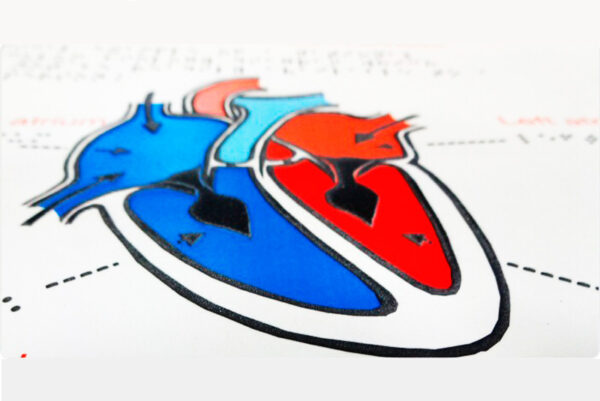 Zychem Tactile Graphics